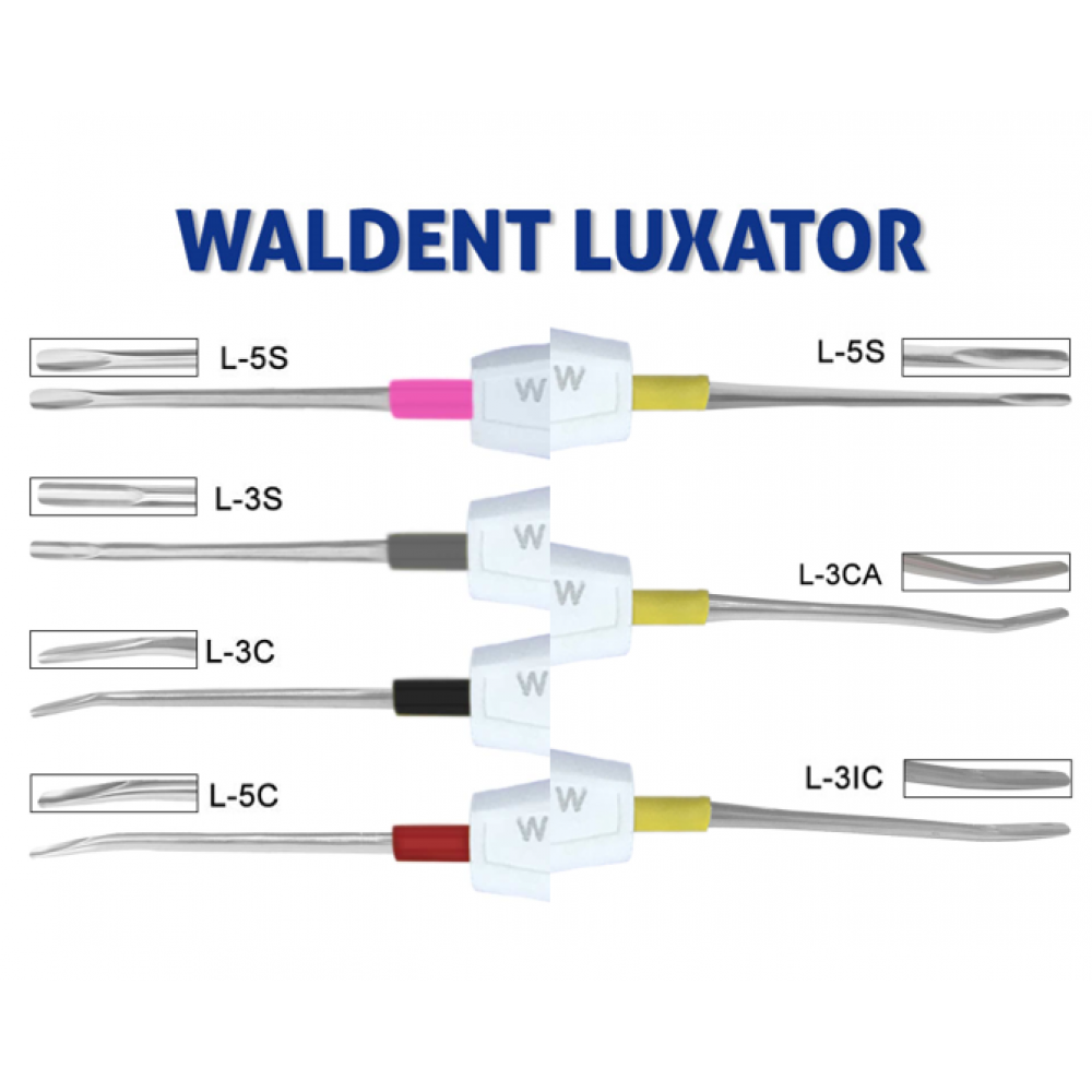 Buy Luxators WALDENT Online at Lowest Best Price Guaranteed ...