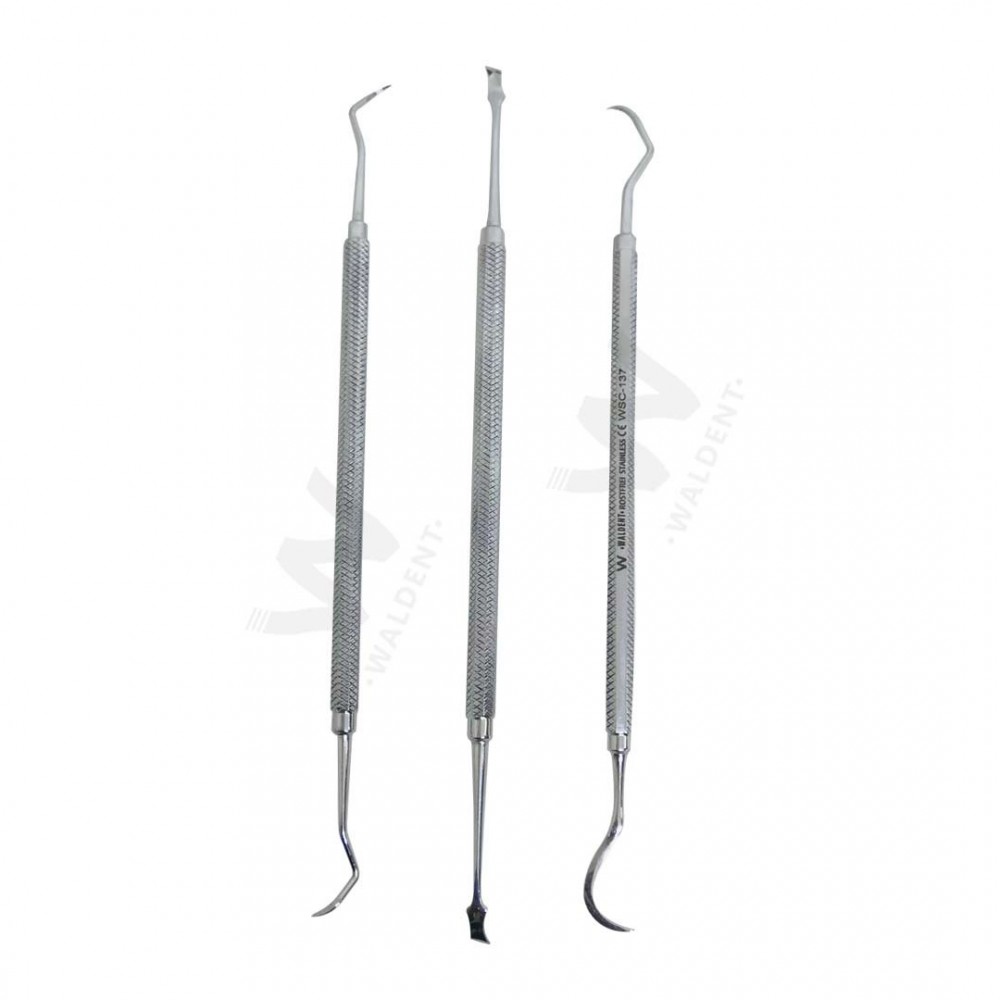 Buy Manipal Hand Scaler Set WALDENT Online at Lowest Best ...