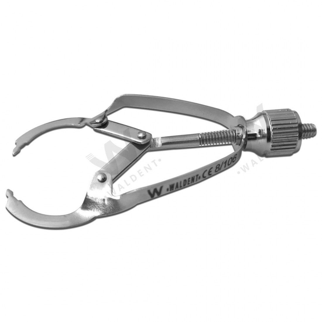 Buy Matrix Retainer Ivory WALDENT Online at Lowest Best Price ...