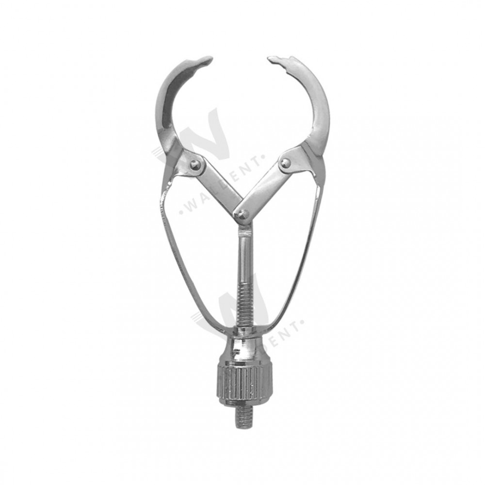 Buy Matrix Retainer Ivory WALDENT Online at Lowest Best Price ...