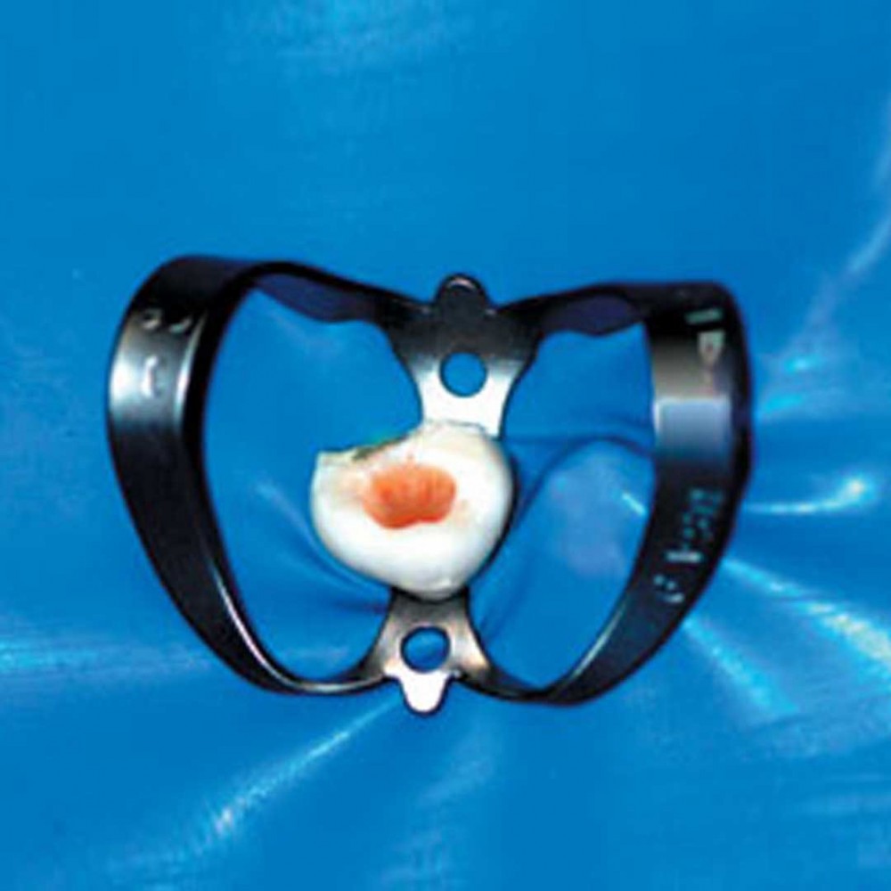 Buy Rubber Dam Clamps Kit Titanium Black WALDENT Online at ...