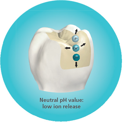 Buy Cention N Big Pack Ivoclar-Vivadent Online at Lowest ...